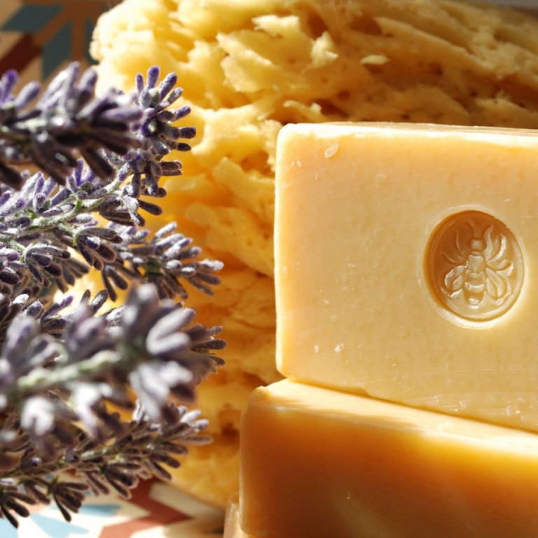 Apis Cera - Takemeinsandwich