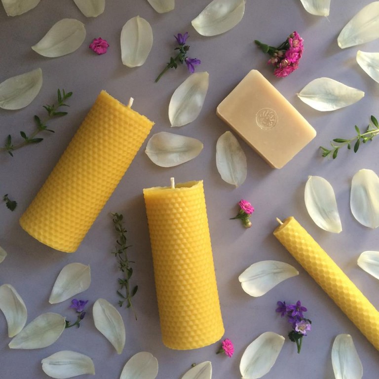 Apis Cera - Takemeinsandwich