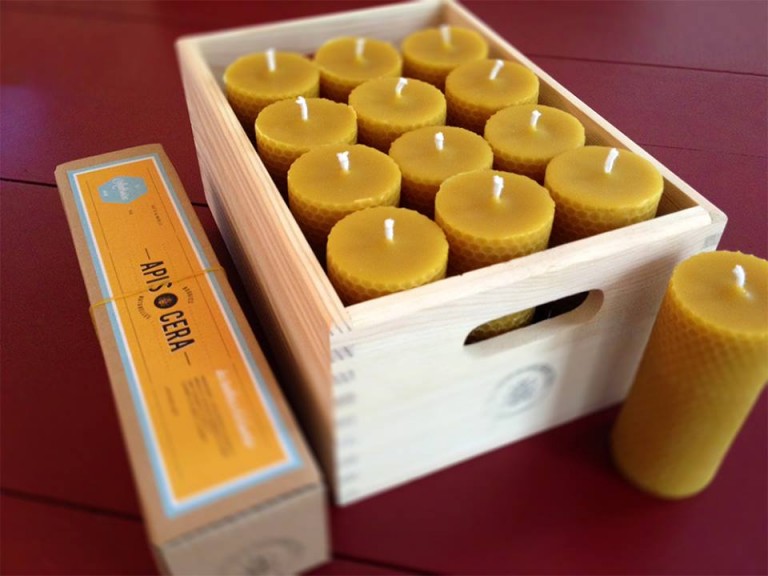 Apis Cera - Takemeinsandwich